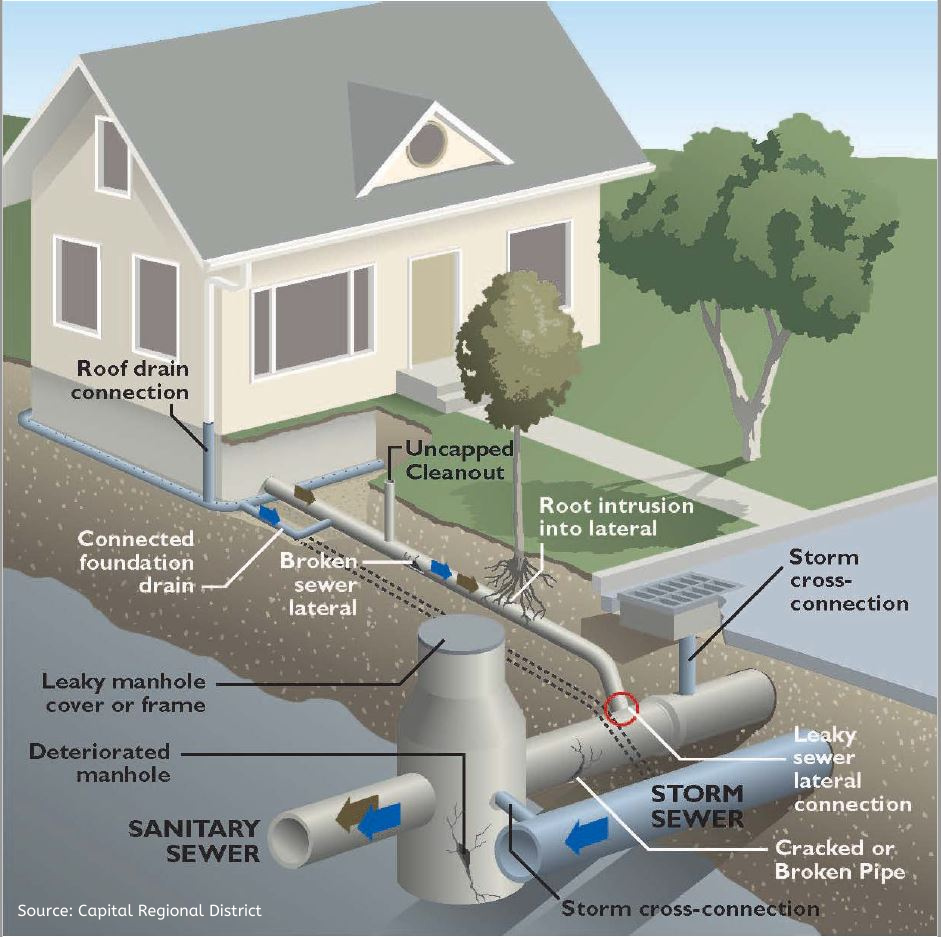 Sanitary sewage store